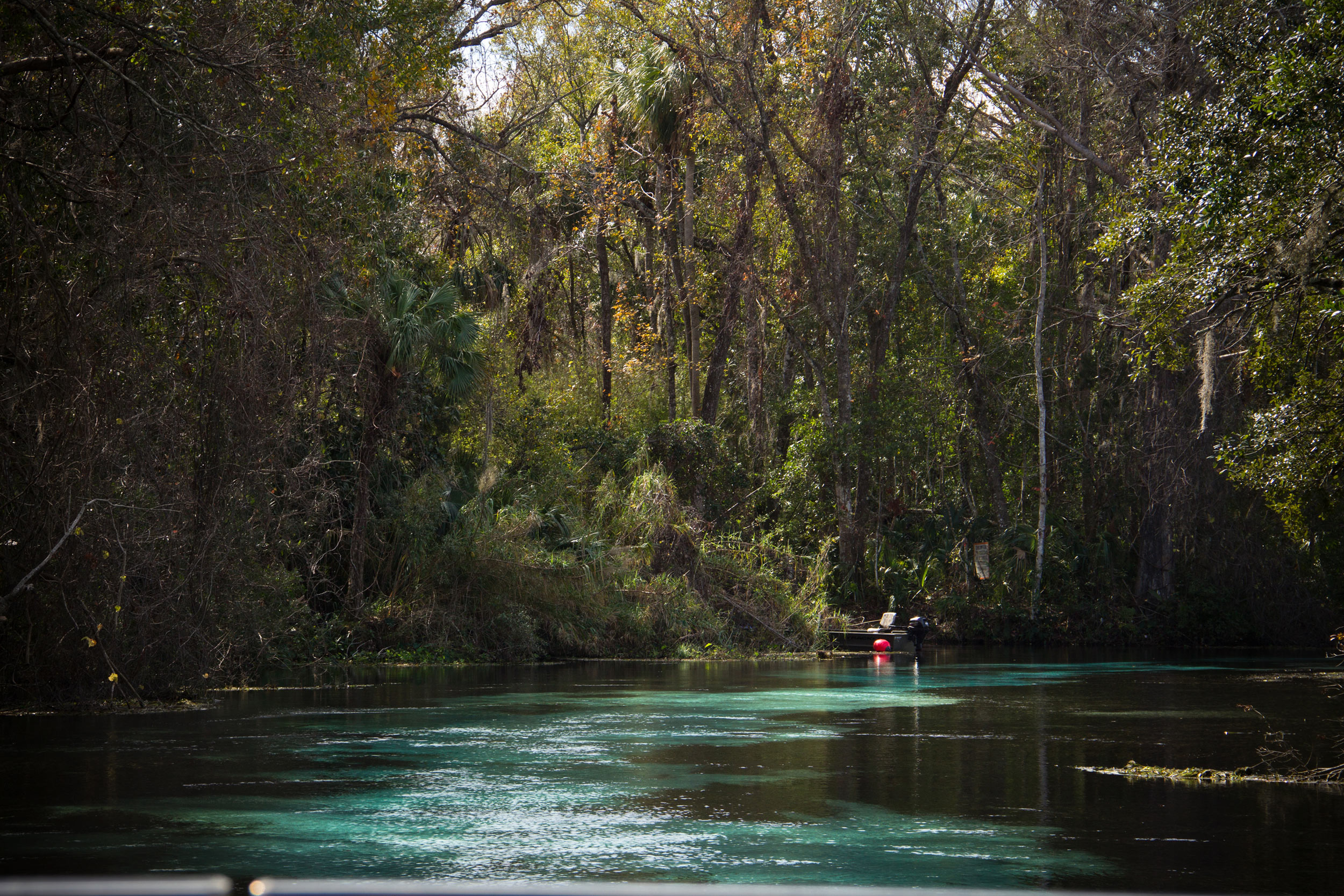 Florida - Planned Wanderings